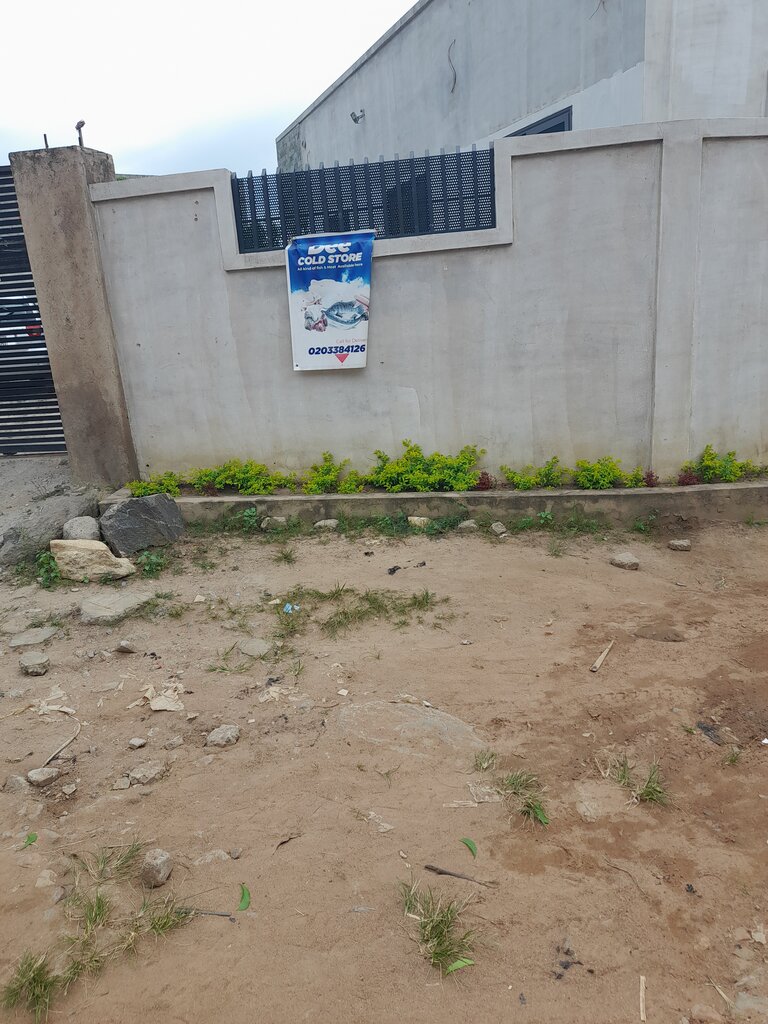 Dondurulmuş gıda firmaları Dee cold store, Dünya, foto