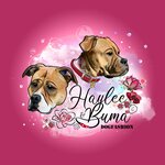 Haylee & Buma (Hesse, Bergstraße, Berliner Ring, 161), petshop  Hesse'den