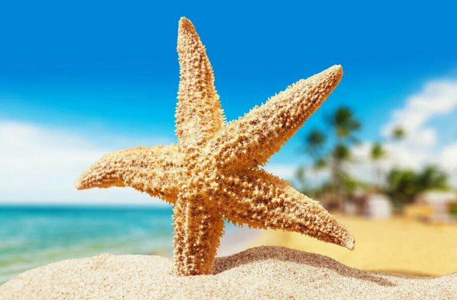 Danışmanlık hizmetleri Центр Нейроимиджа, Rostov‑na‑Donu, foto