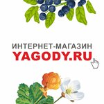 Karelia Berries (Lenina Avenue No:5, Petrozavodsk), hediyelik eşya mağazaları  Petrozavodsk'tan