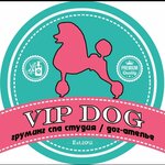 VIP Dog (Oktyabrskaya Street No:22А), evcil hayvan kuaförleri  Ulyanovsk'tan