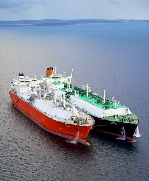 Deniz taşımacılığı Shark International Shipping, Fudjeyra, foto