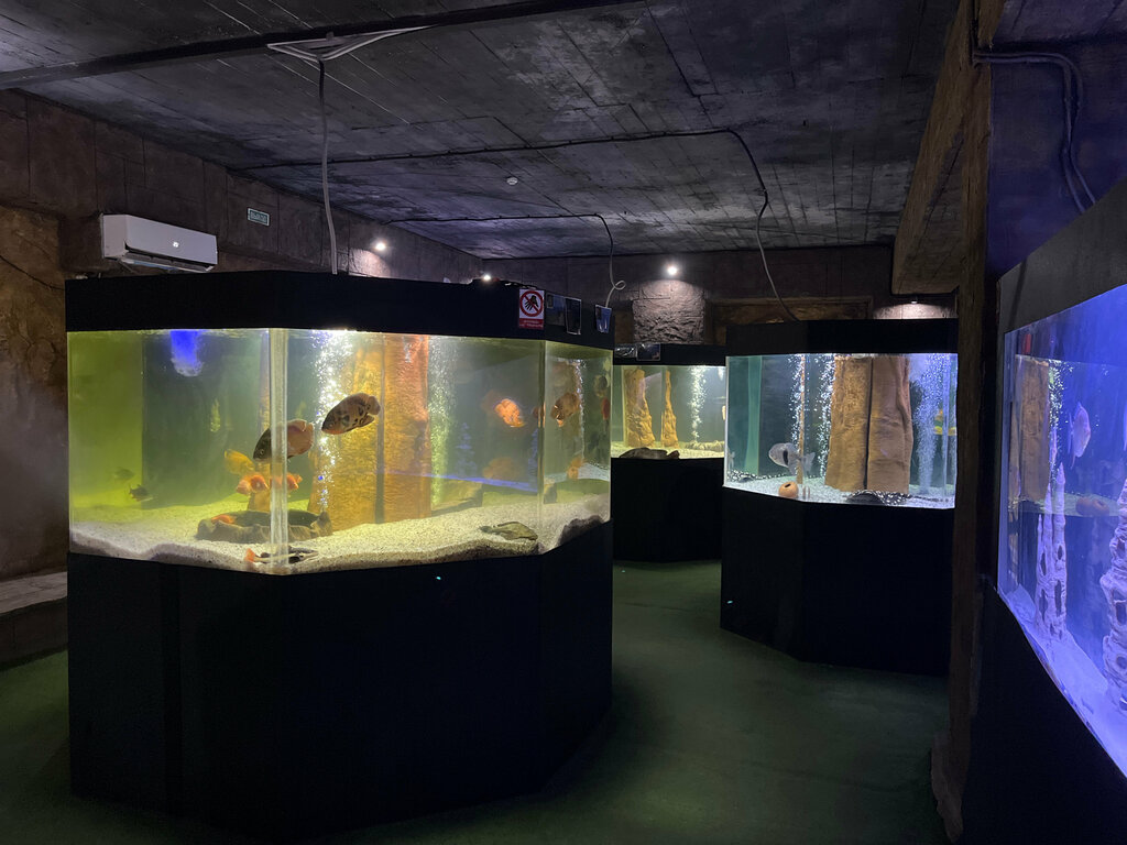 Akvaryumlar Oceanarium, Soçi, foto