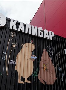 Kapibar (ulitsa Michurina No:11), bar  Revda'dan