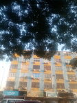 Casa De Impressão (Luanda, Avenida Ngola Kiluanje), matbaalar  Loanda'dan