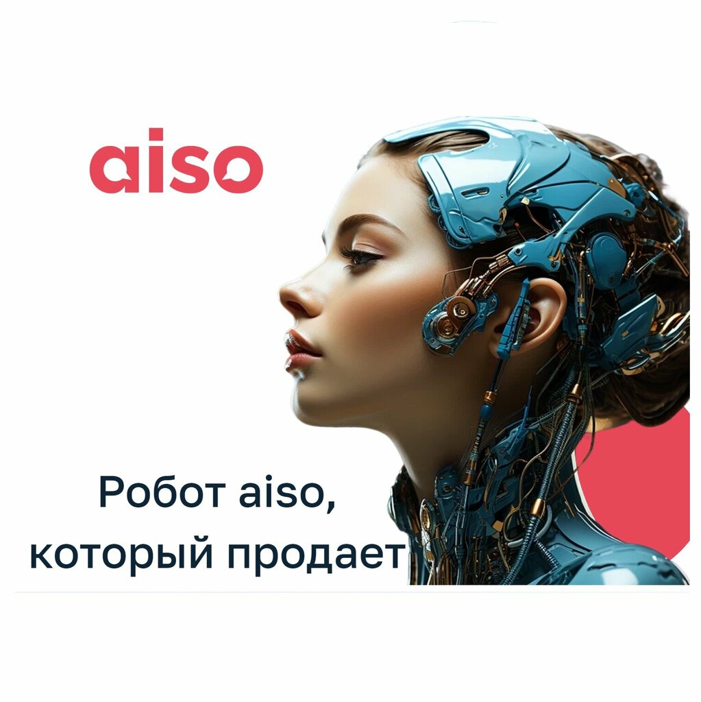 Bilişim firmaları Aiso, Moskova, foto