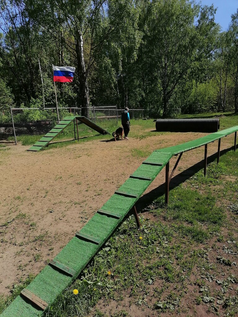 Köpek gezdirme alanları Dog park, Kostroma, foto