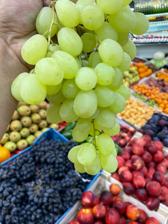 Manavlar Frukty Sukhofrukty, Moskova, foto