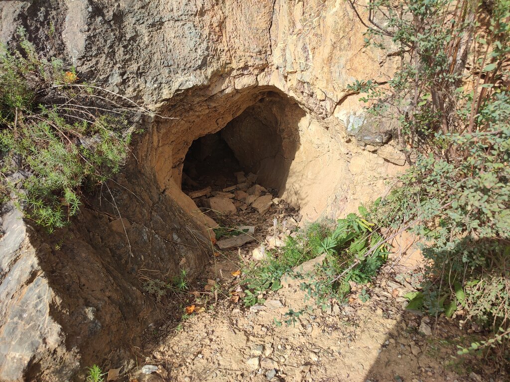 Dağ zirvesi Гора Пещерка, Novosibirskaya oblastı, foto