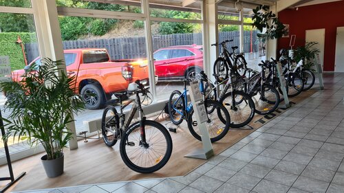 Otomobil servisi Autohaus Lutherhöhe GmbH, Saksonya, foto