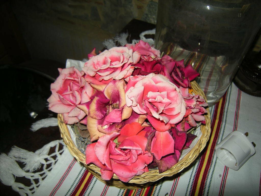 Otel Lasmari's Bouquet, Dünya, foto