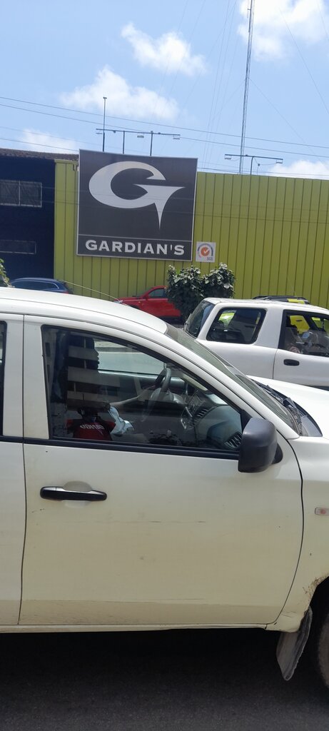 Güvenlik ve alarm sistemleri Gardian's Assistance, Abican, foto