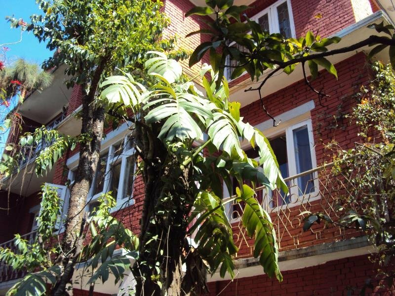 Otel Sukeyasu Hotel, Katmandu, foto