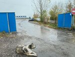 Драйв (proyezd Svyazistov No:24), sürücü kursları  Krasnoyarsk'tan