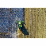 BioAgroCon (Murcia, Calle Rodrigo de Triana), bahçe ekipmanları ve teknolojileri  Murcia'dan