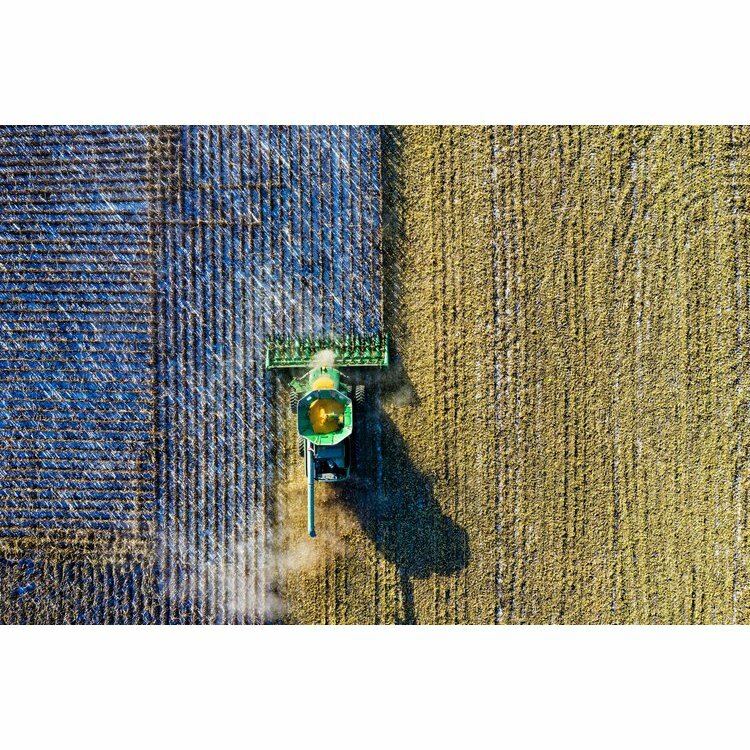 Bahçe ekipmanları ve teknolojileri BioAgroCon, Murcia, foto
