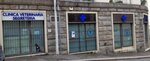 Clinica Veterinaria Il Poggetto (Via Celso No:2, Florence), veteriner materyalleri ve ekipmanları  Floransa'dan