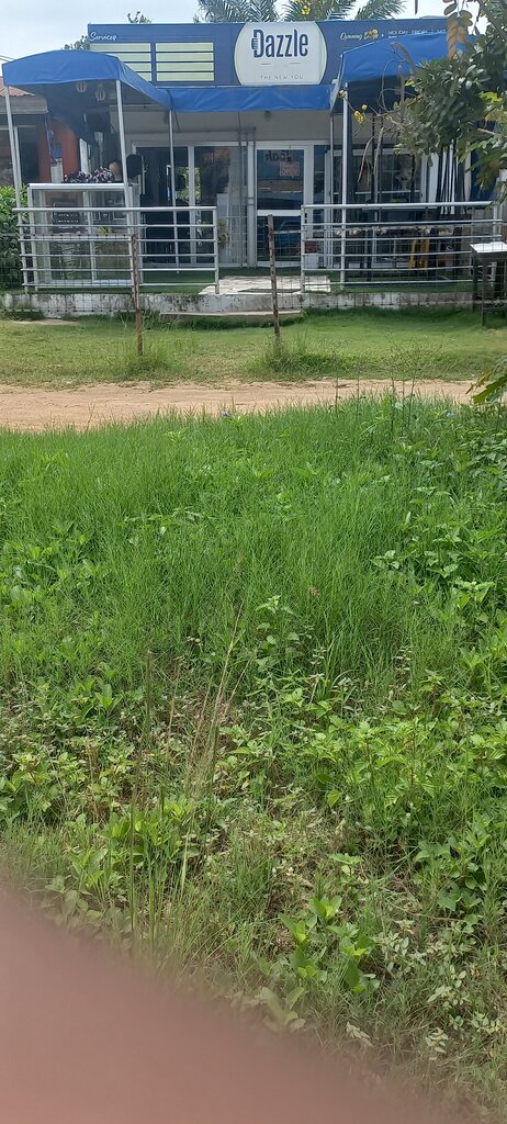 Güzellik salonu Dazzle The New, Dünya, foto