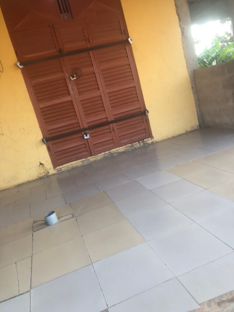 Kitap mağazaları Wiase han, Dünya, foto