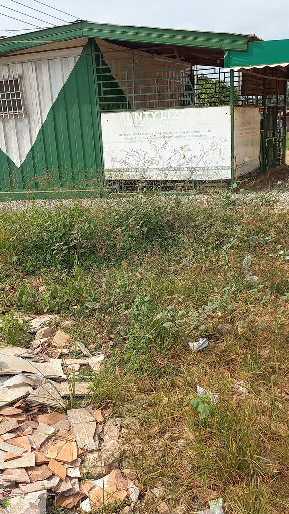 Catering firmaları Auntie Lizzy Catering services, Dünya, foto