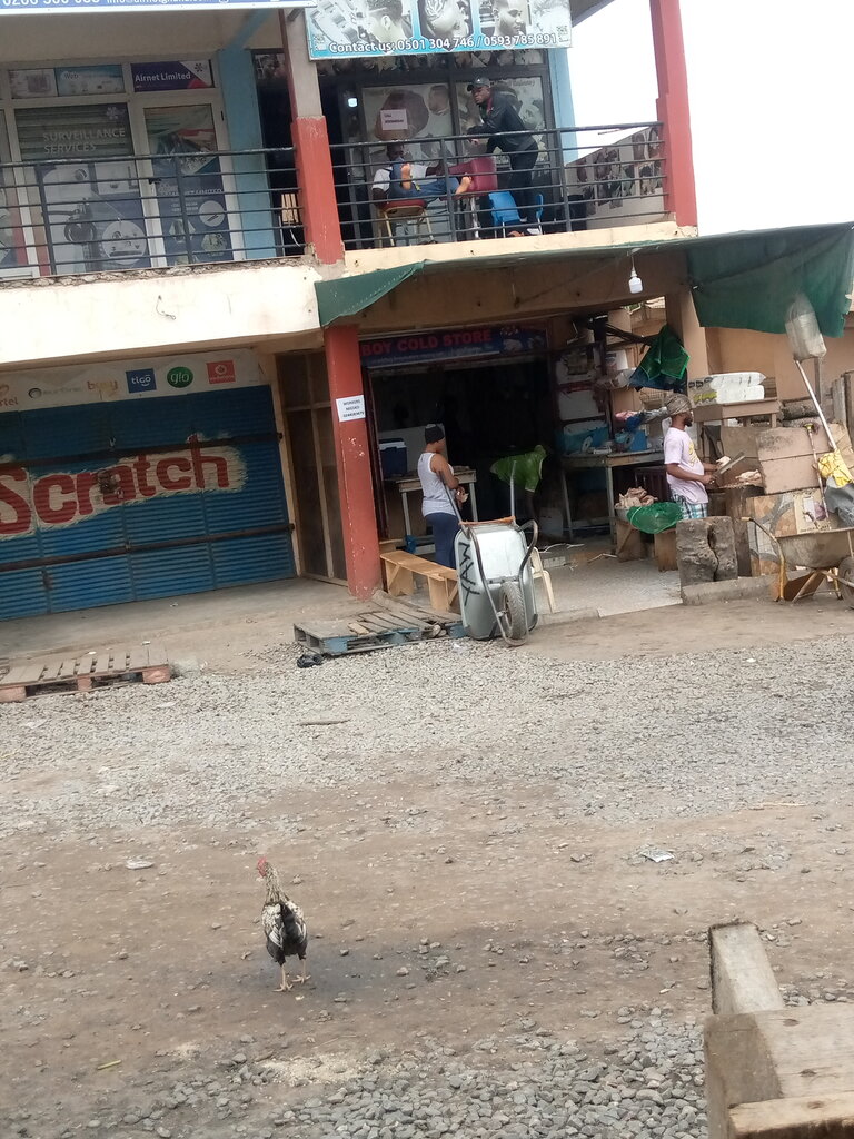 Dondurulmuş gıda firmaları Charlieboy cold storw, Dünya, foto