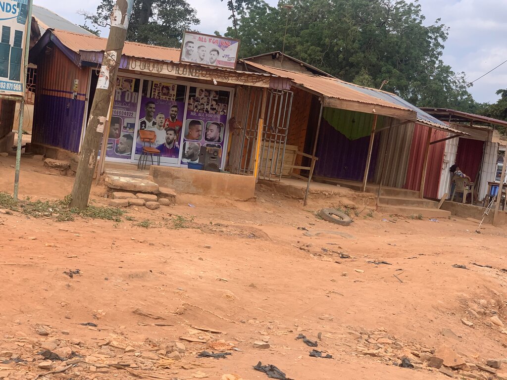 Berberler Mr All For One, Dünya, foto