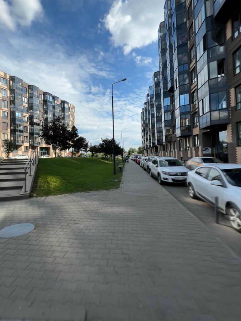 Özel ders hizmetleri PhysMathMentor, Aprelevka, foto