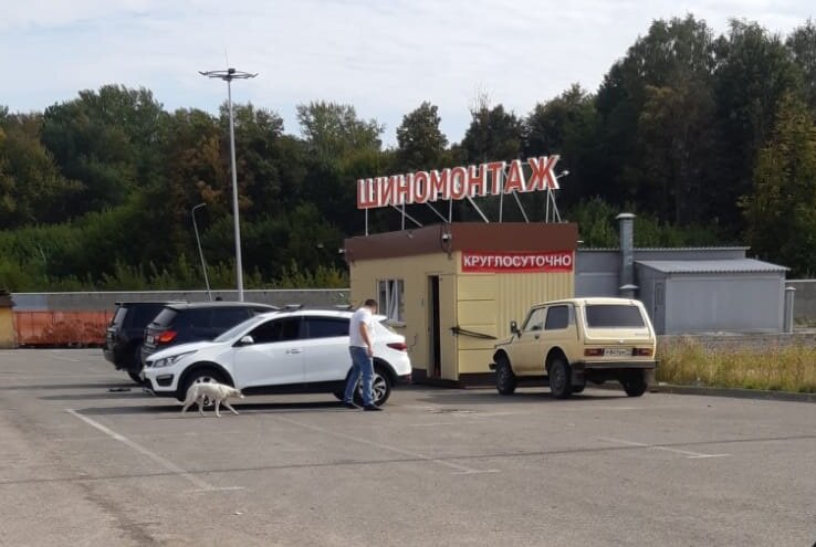 Oto lastik tamiri Шиномонтаж, Tula, foto