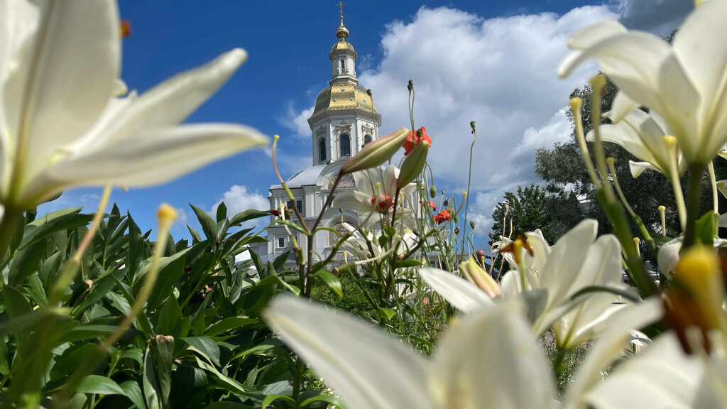 Geziler Trips with Aleksandr Smirnov for warmth the soul, Moskova, foto