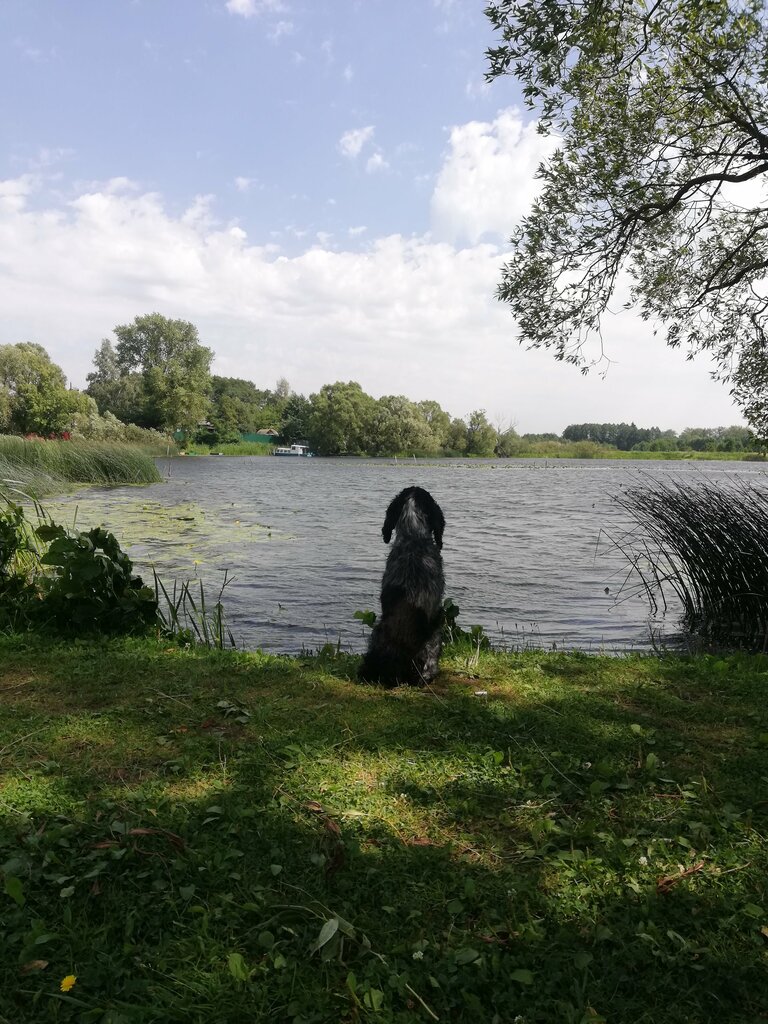 Plaj Surazh Beach, Suraj, foto