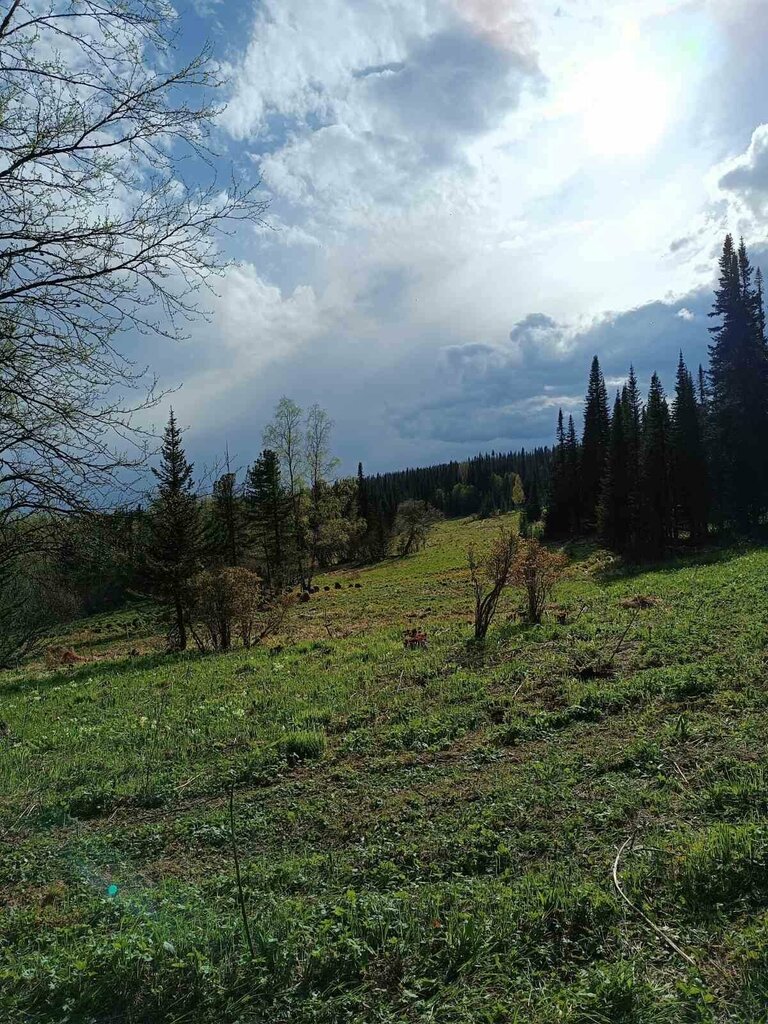 Dağ zirvesi Гора Карлыган, Hakasya, foto