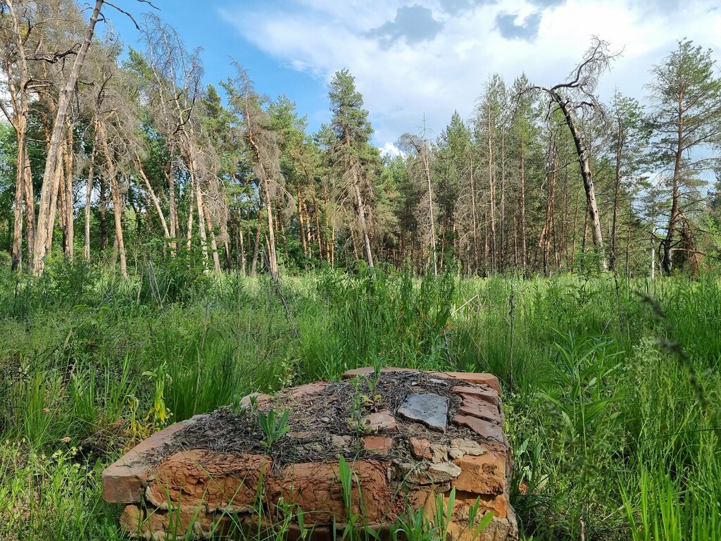 Unutulmaz olayların yeri Здание командования Первой пехотной дивизии имени Тадеуша Костюшко, Riazanskaya oblastı, foto