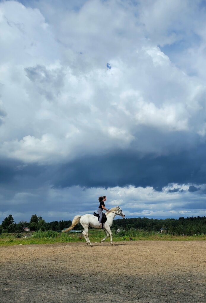 At ve binicilik kulüpleri Anisimov Riding School, Saint‑Petersburg ve Leningradskaya oblastı, foto