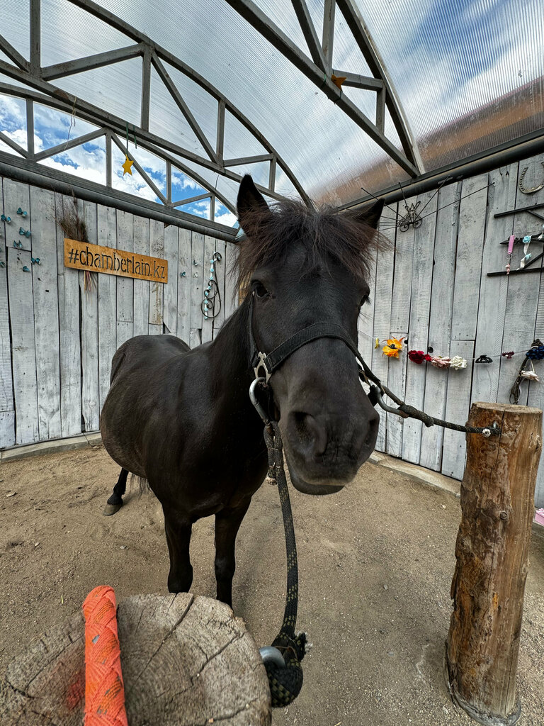 Çiftlik tatili Chamberlain Country Club, Almatı eyaleti, foto