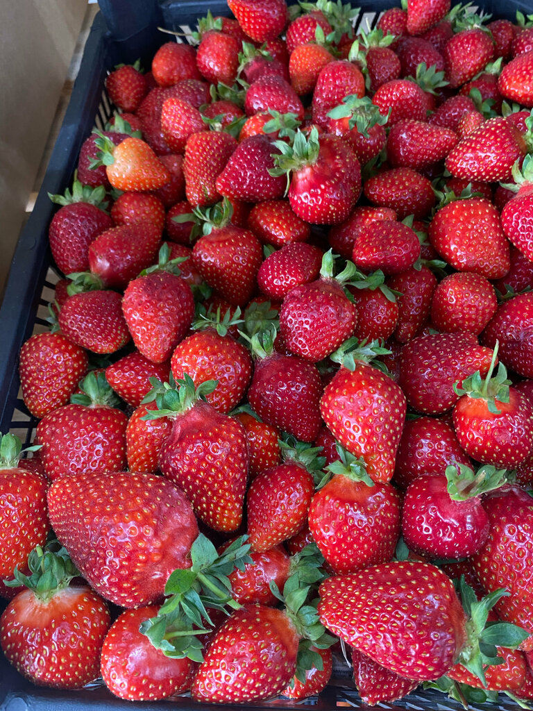 Manavlar Фрукты-овощи, Rostovskaya oblastı, foto