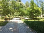 Taraz Resort & SPA (Jambyl oblysy, Taraz, Jibek Jolı dead end), medical rehabilitation centre  Taraz'dan