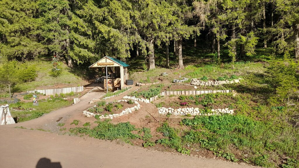 Pınar, çay Spring, stream, Permski krayı, foto