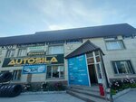 Autosila (gorodskoy akimat Kostanay), nakliye firmaları  Kostanay'dan