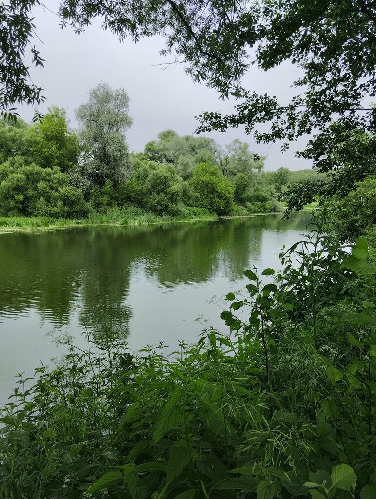 Limanlar Вишня, Obninsk, foto