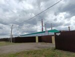 Orion Seafood (No:16Б, TETs Microdistrict), balık ve deniz ürünleri  Oral'dan (Uralsk'tan)