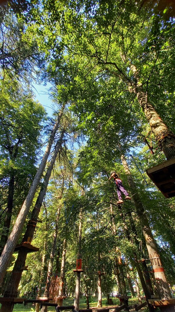 i̇pler, halatlar Дитя джунглей, Riazan, foto