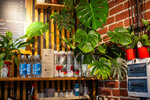 Baggins Coffee (Medikov Avenue No:5), kahve dükkanları  Saint‑Petersburg'dan