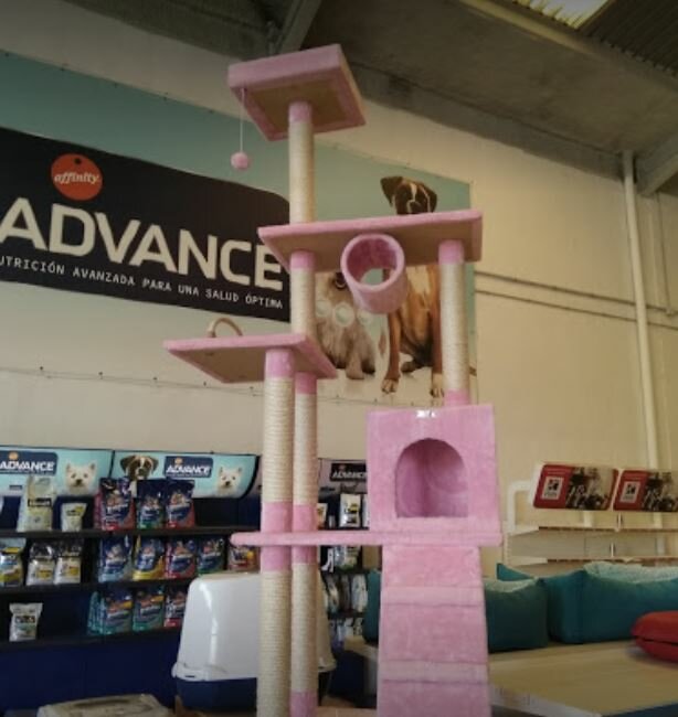 Petshop Mascotas Aldaia, Valensiya, foto