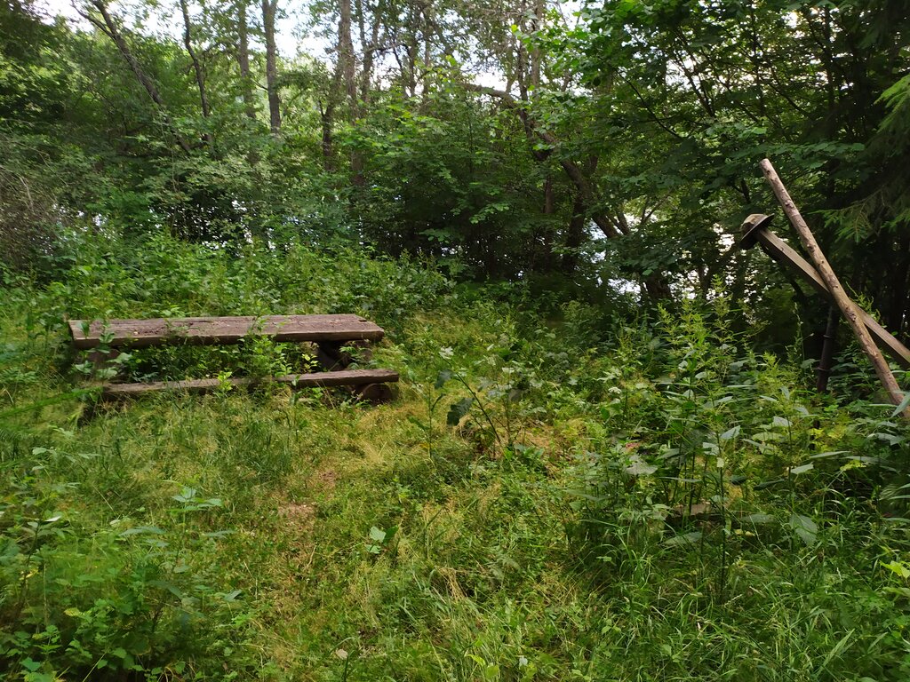 Piknik alanı Турстоянка Лесовичок, Smolenskaya oblastı, foto