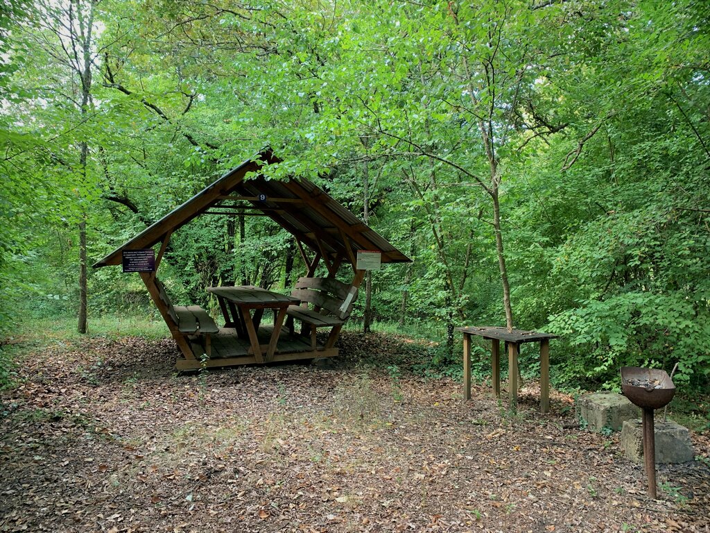 Piknik alanı The Second Forest Cardon, Sevastopol, foto