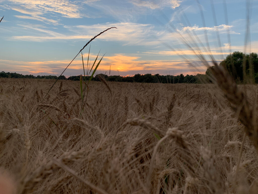 Plaj Beach, Kalujskaya oblastı, foto