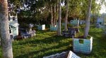 Пейнтбольный клуб Аркона (Kemerovo, Leninskiy rayon), paintball  Kemerovo'dan