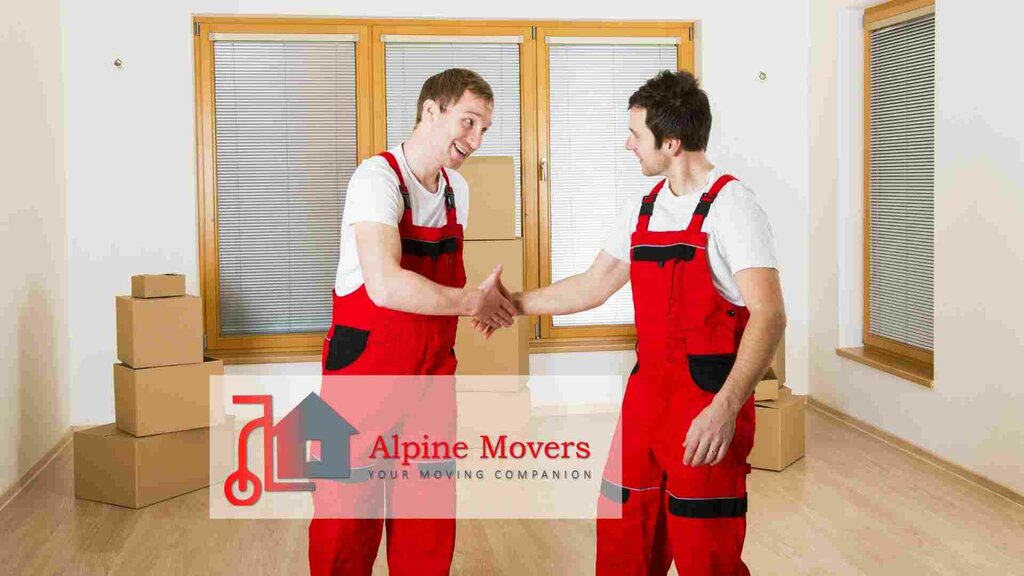 Yönetim ofisi Alpine Movers, Dubai, foto