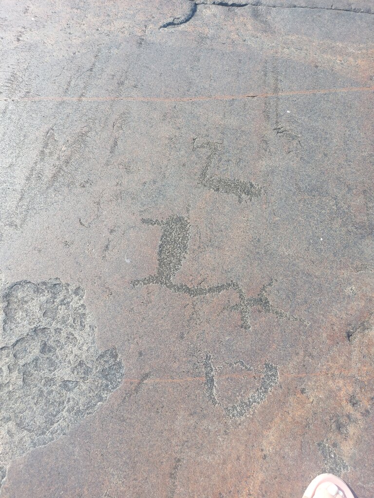 Turistik yerler Petroglyphs, Karelya, foto