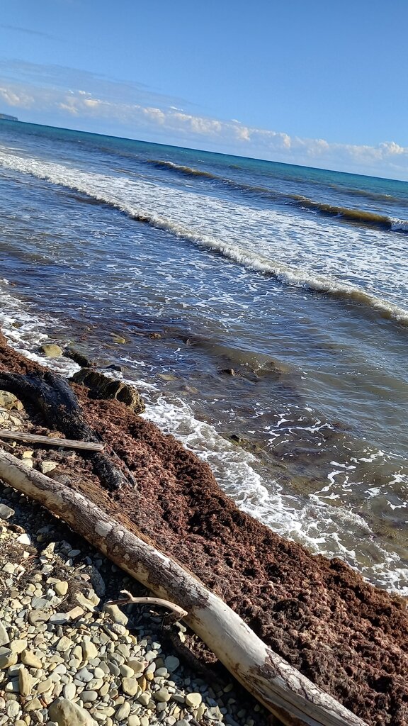 Resort oteller, tesisler Лазурный Берег, Krasnodarski krayı, foto